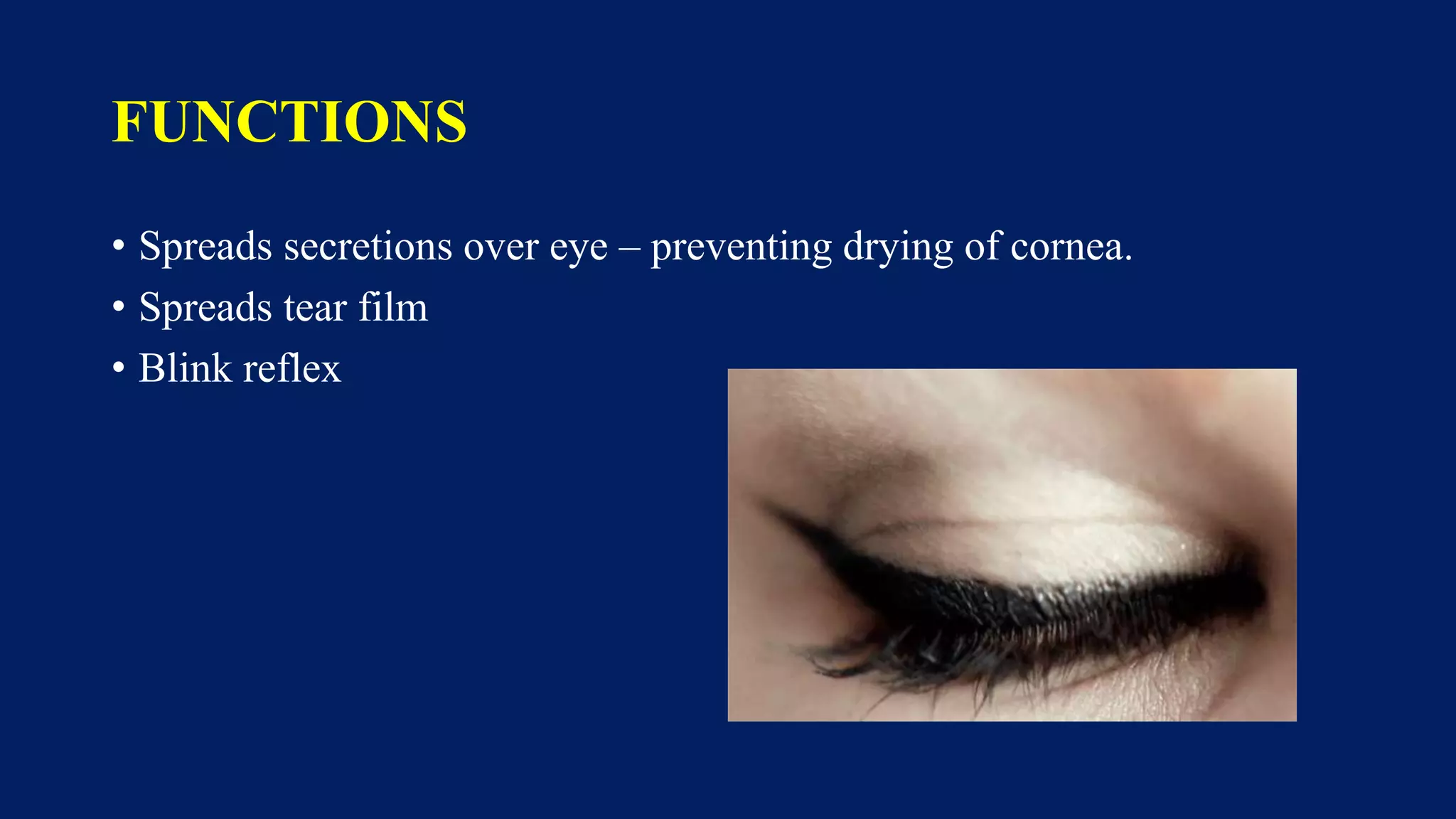 Anatomy of eyelid and eyelid reconstruction | PPTX | Eye and Vision ...