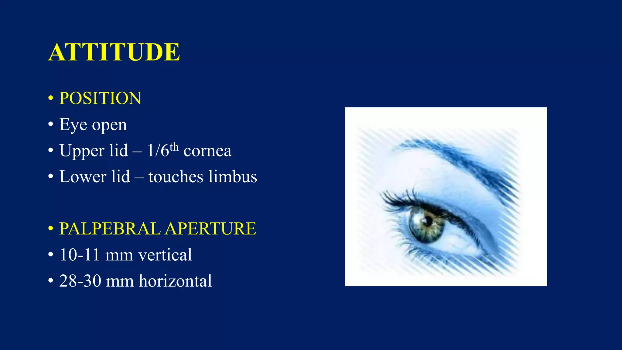 Anatomy of eyelid and eyelid reconstruction | PPTX