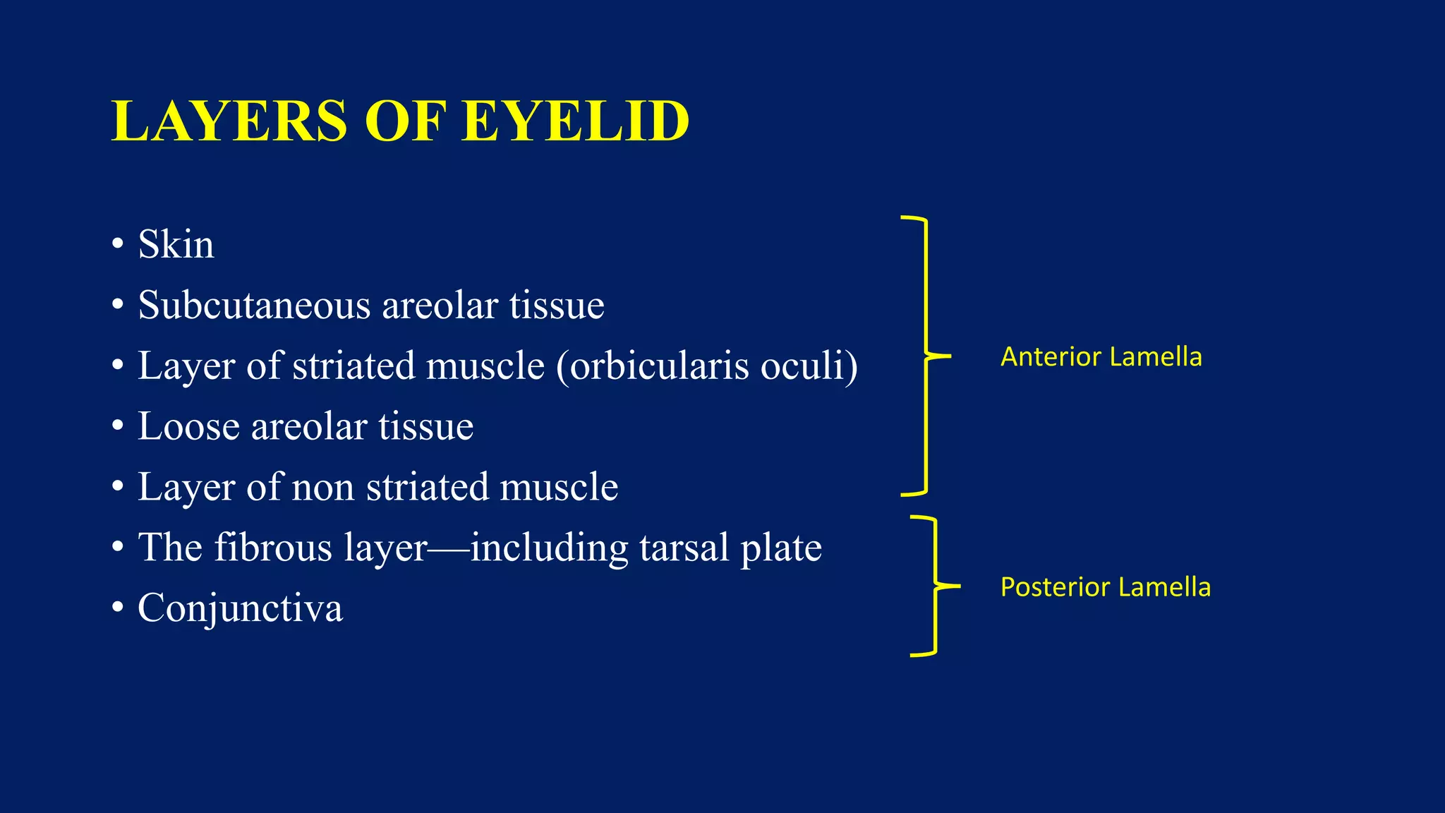 Anatomy of eyelid and eyelid reconstruction | PPTX
