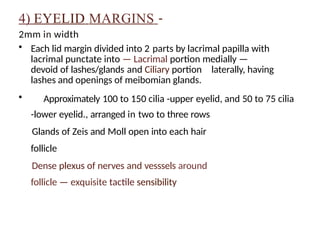 Anatomy of Eyelid Imon Seminar (Final).pptx
