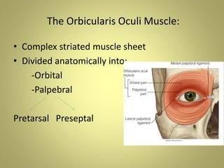 Anatomy of Eyelids & Its Clinical Correlations | PPTX