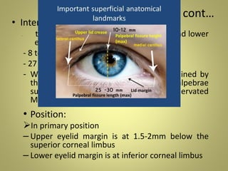 Anatomy of Eyelids & Its Clinical Correlations | PPT