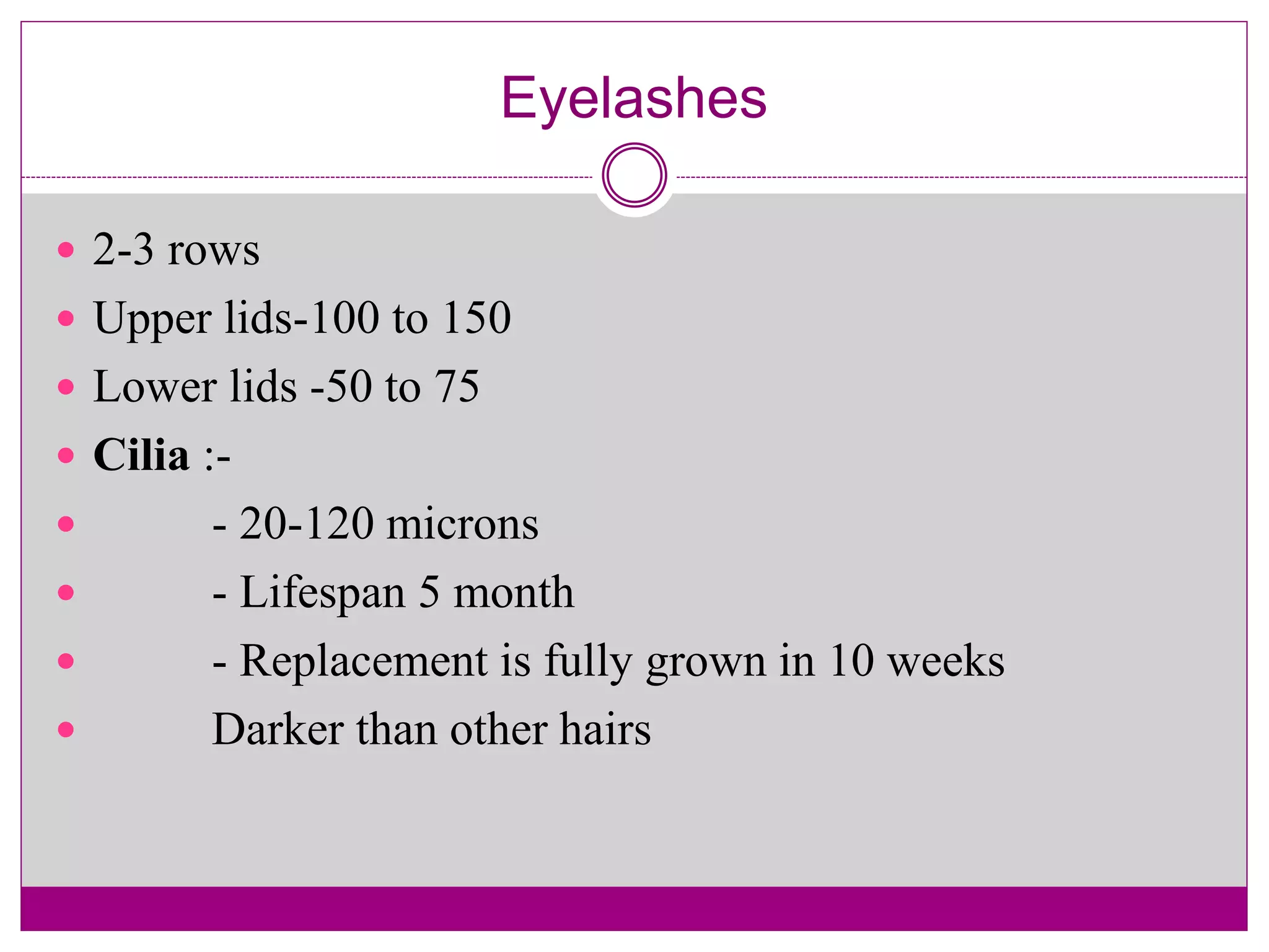 Anatomy of eyelids | PPTX