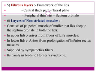 Anatomy of eyelids | PPTX