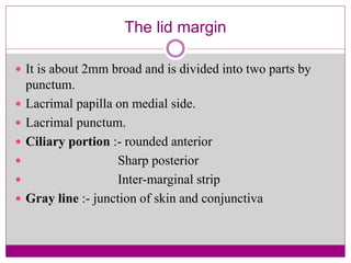 Anatomy of eyelids | PPTX