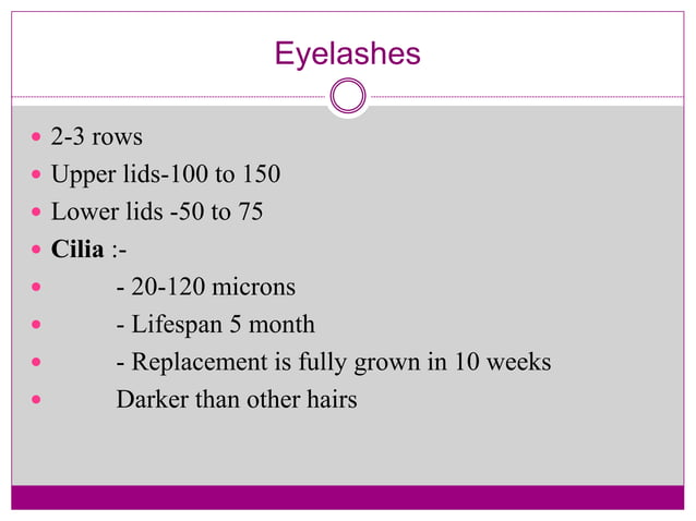 Anatomy of eyelids | PPTX