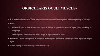 EYELIDS- ANATOMY, STRUCTURE, LAYERS & EYELID GLANDS | PPTX