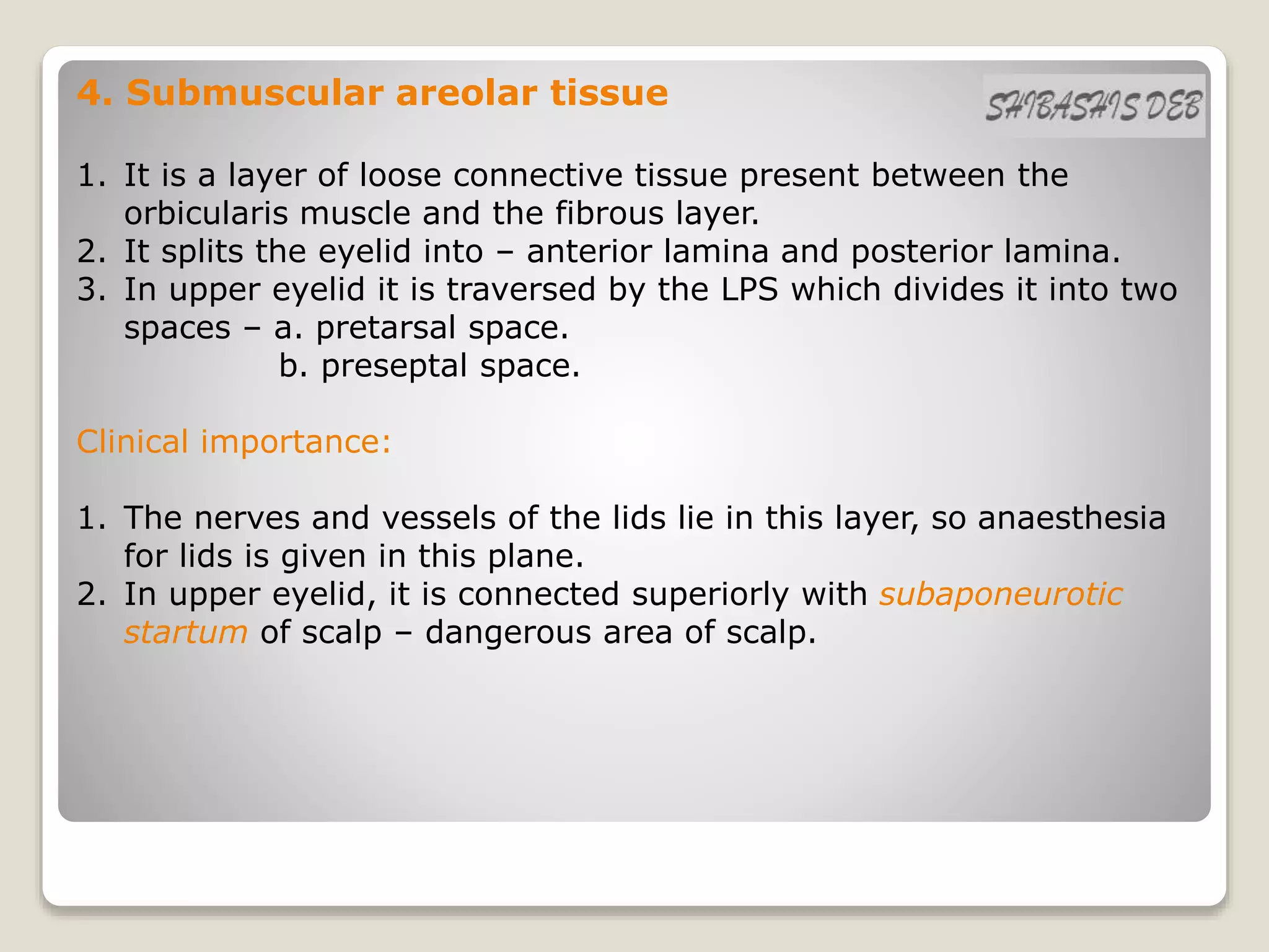 Anatomy of eyelids | PPTX