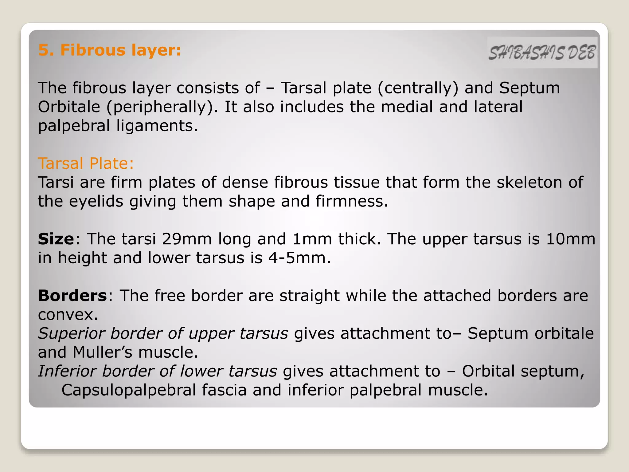 Anatomy of eyelids | PPTX