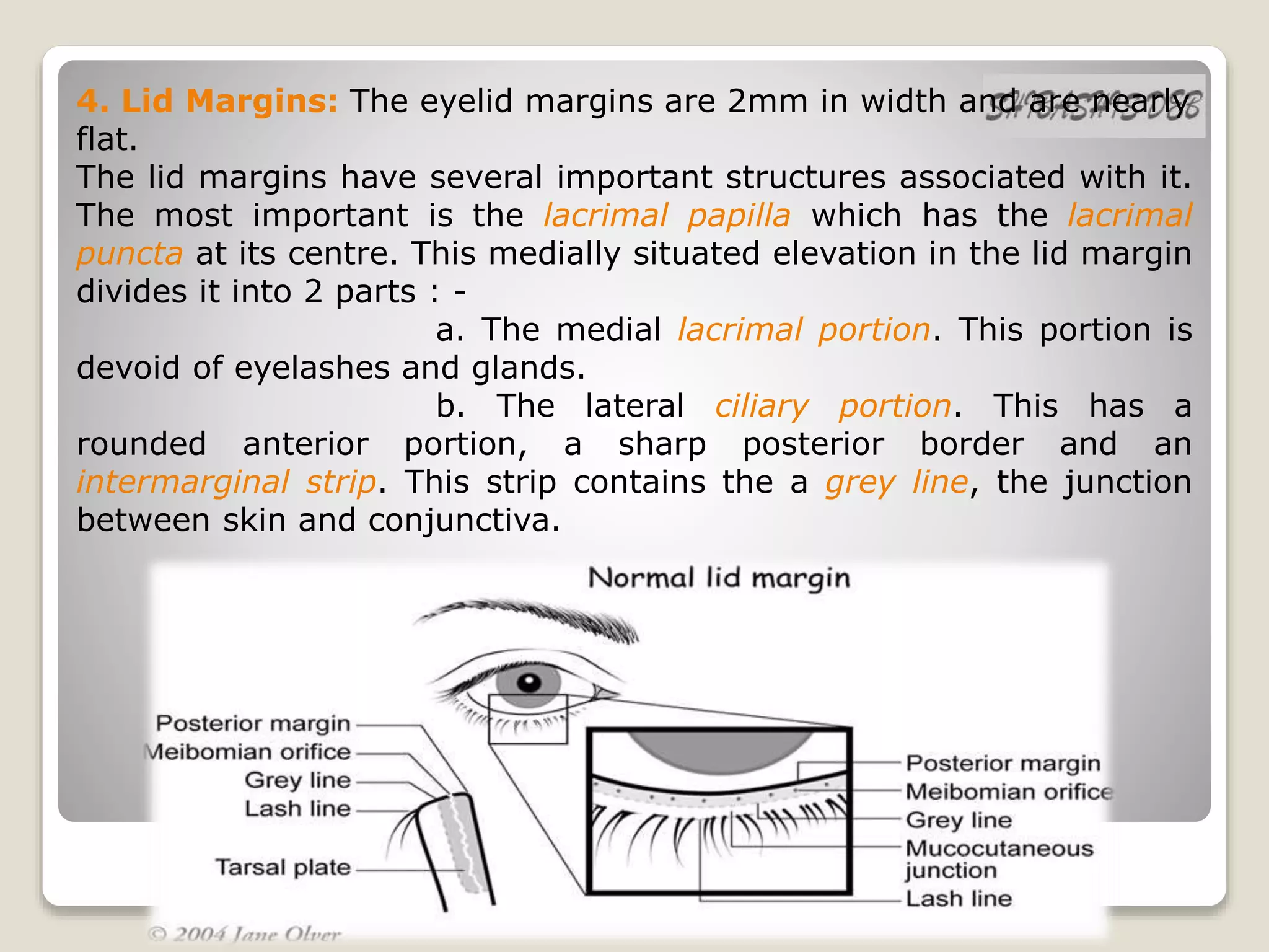 Anatomy of eyelids | PPTX