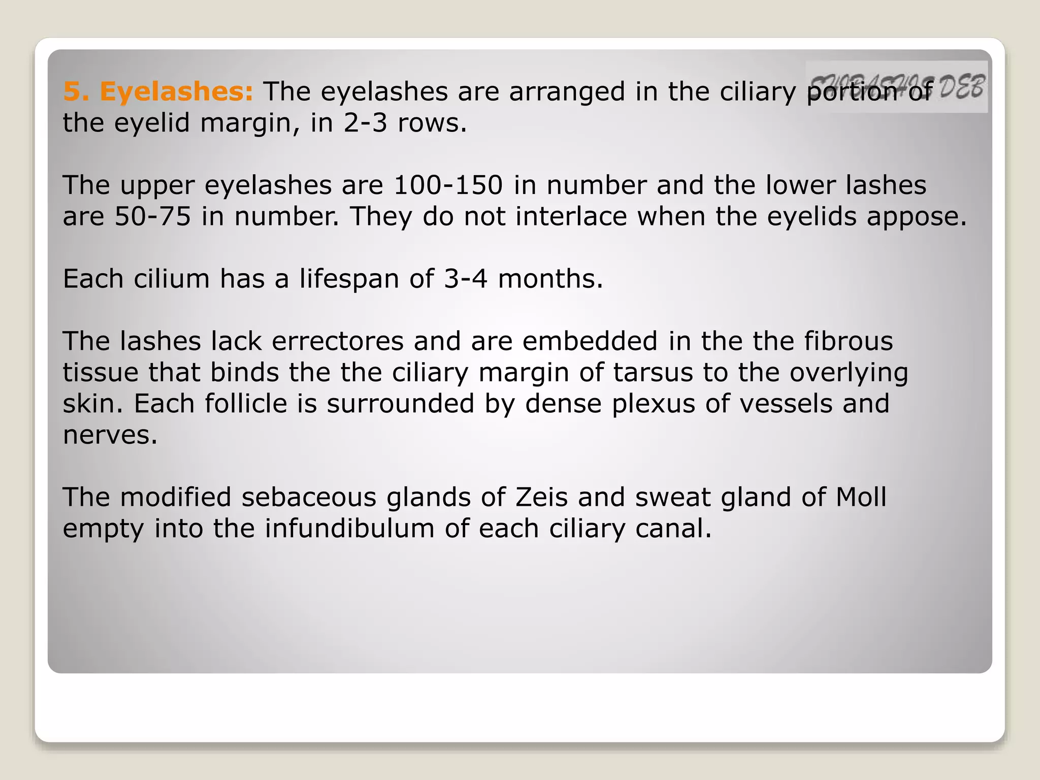 Anatomy of eyelids | PPTX
