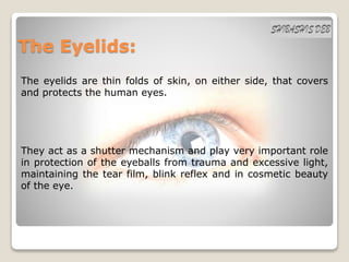 Anatomy of eyelids | PPTX
