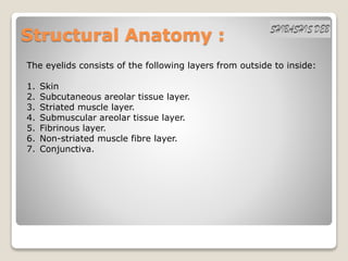 Anatomy of eyelids | PPTX