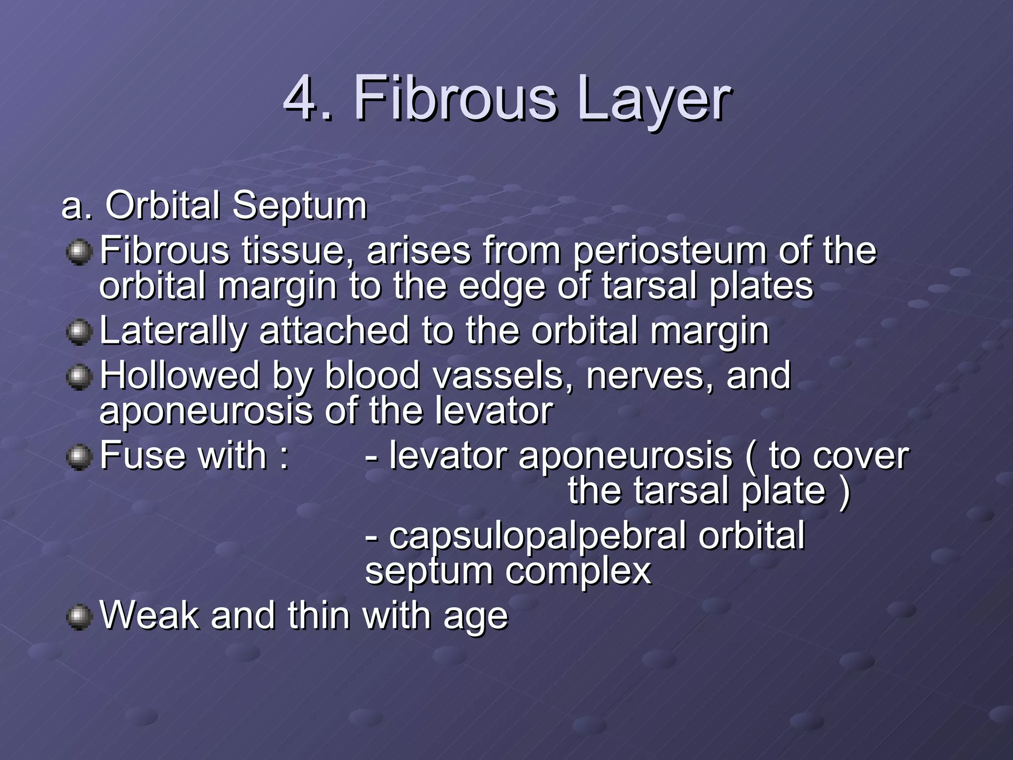 Anatomy of Eyelids | PPT