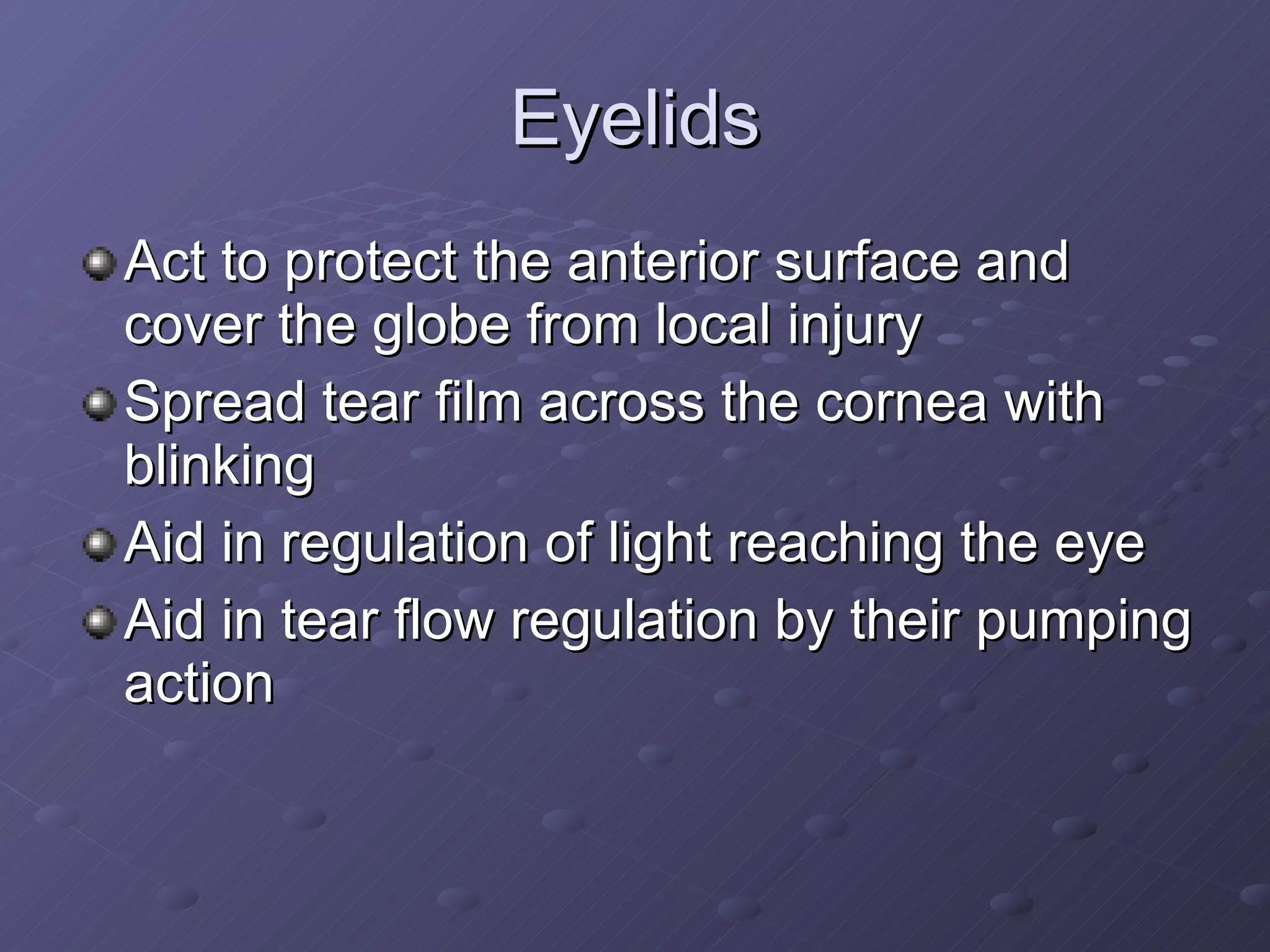 Anatomy of Eyelids | PPT