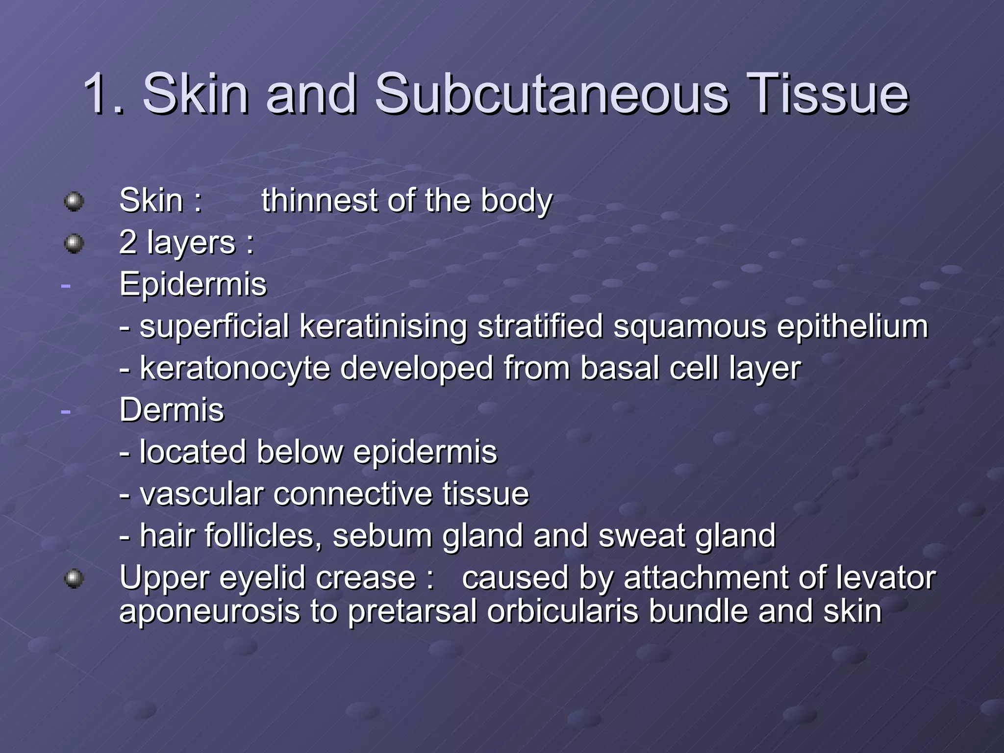 Anatomy of Eyelids | PPT