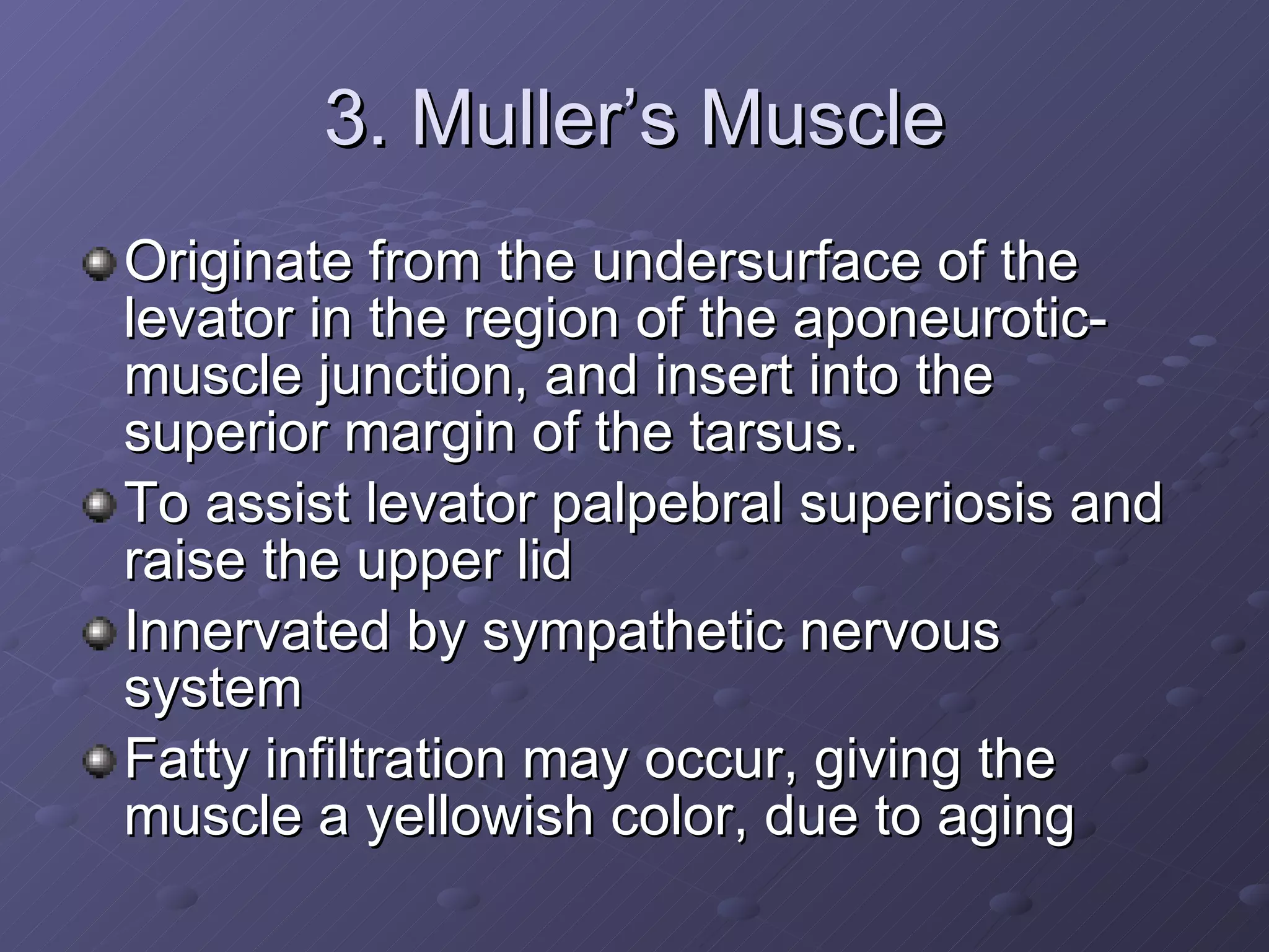 Anatomy of Eyelids | PPT