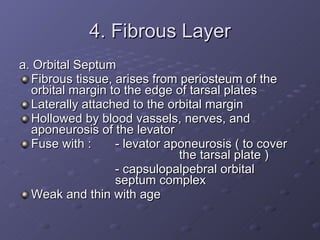 Anatomy of Eyelids | PPT