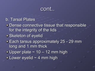 Anatomy of Eyelids | PPT