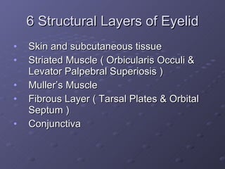 Anatomy of Eyelids | PPT