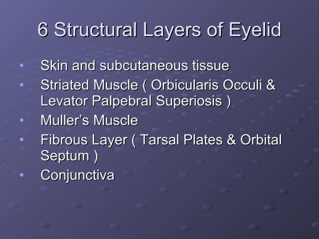 Anatomy of Eyelids | PPT