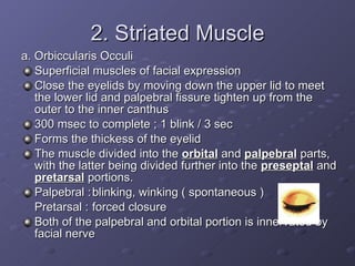 Anatomy of Eyelids | PPT