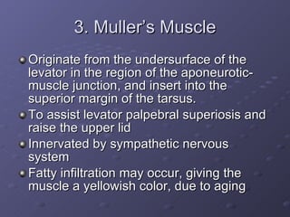 Anatomy of Eyelids | PPT