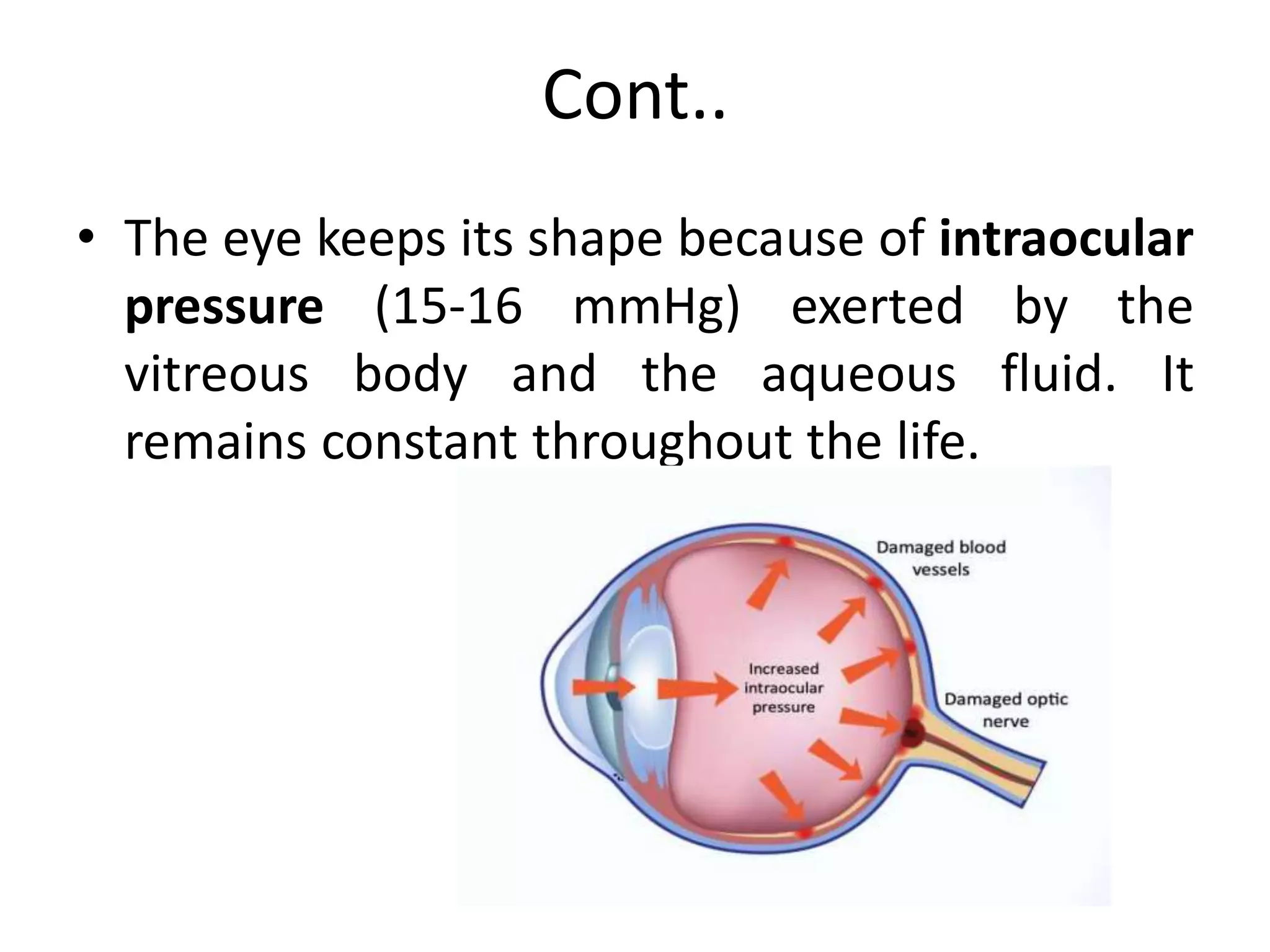 ANATOMY OF EYE n.pdf