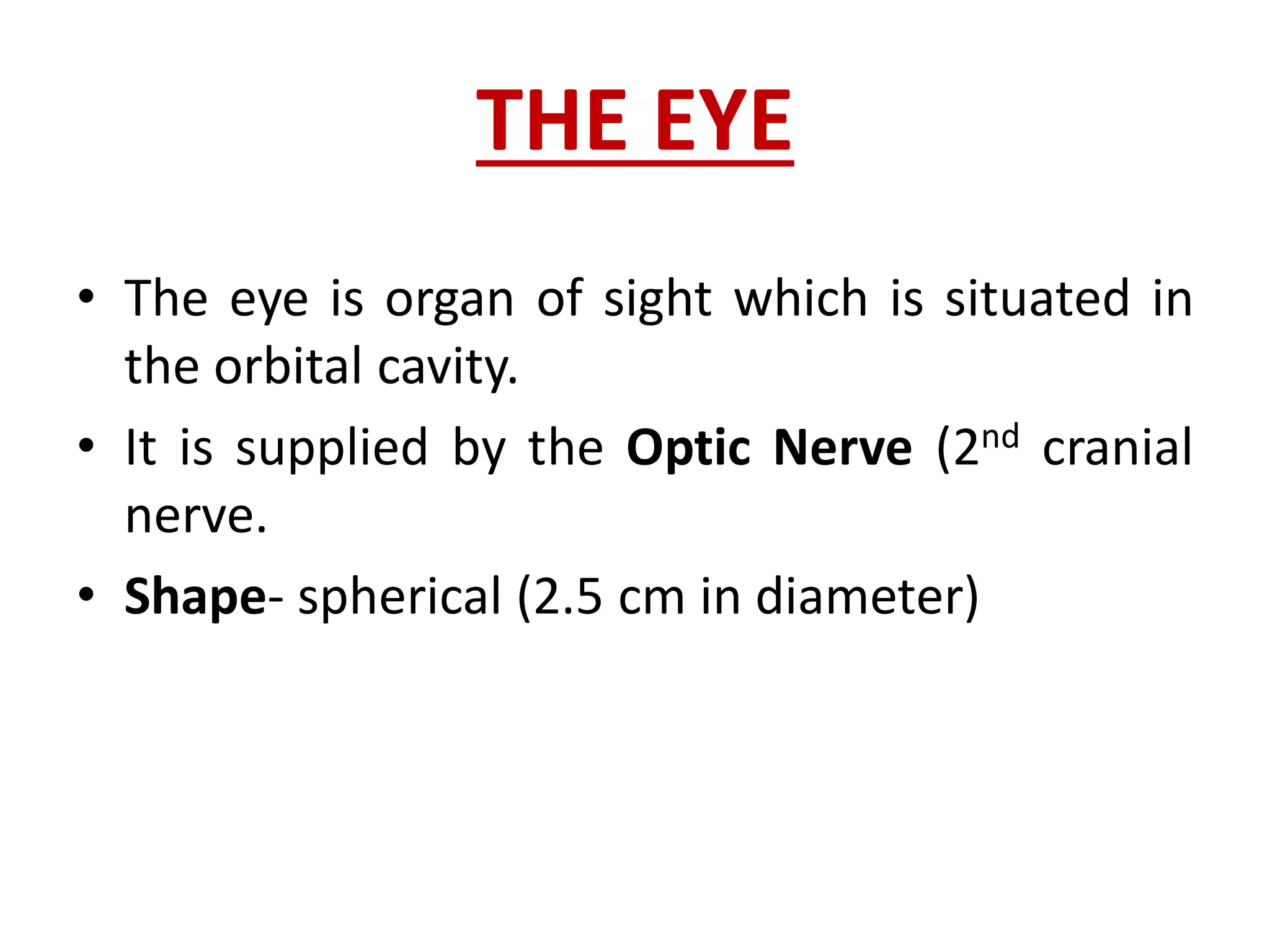ANATOMY OF EYE n.pdf