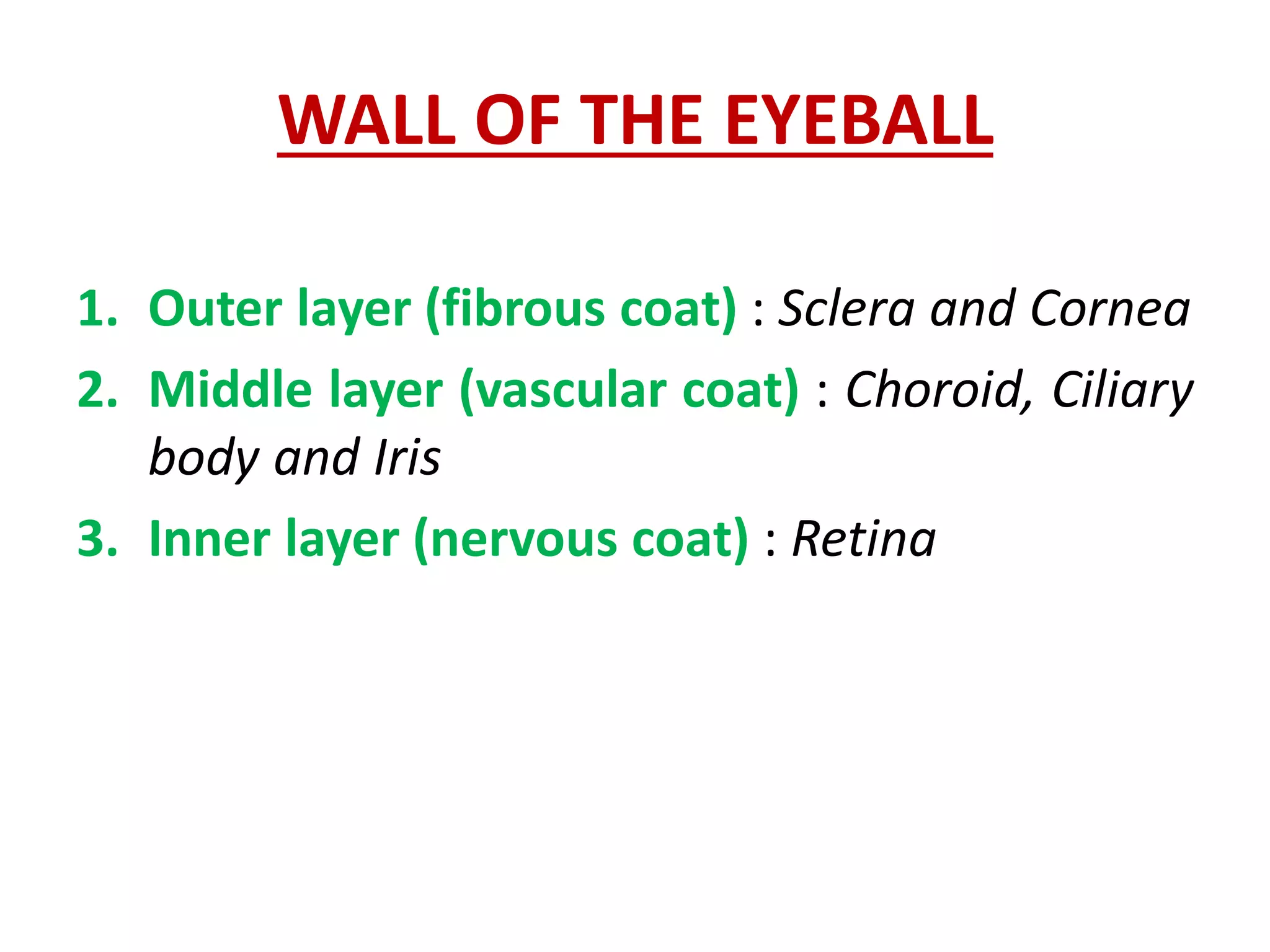 ANATOMY OF EYE n.pdf