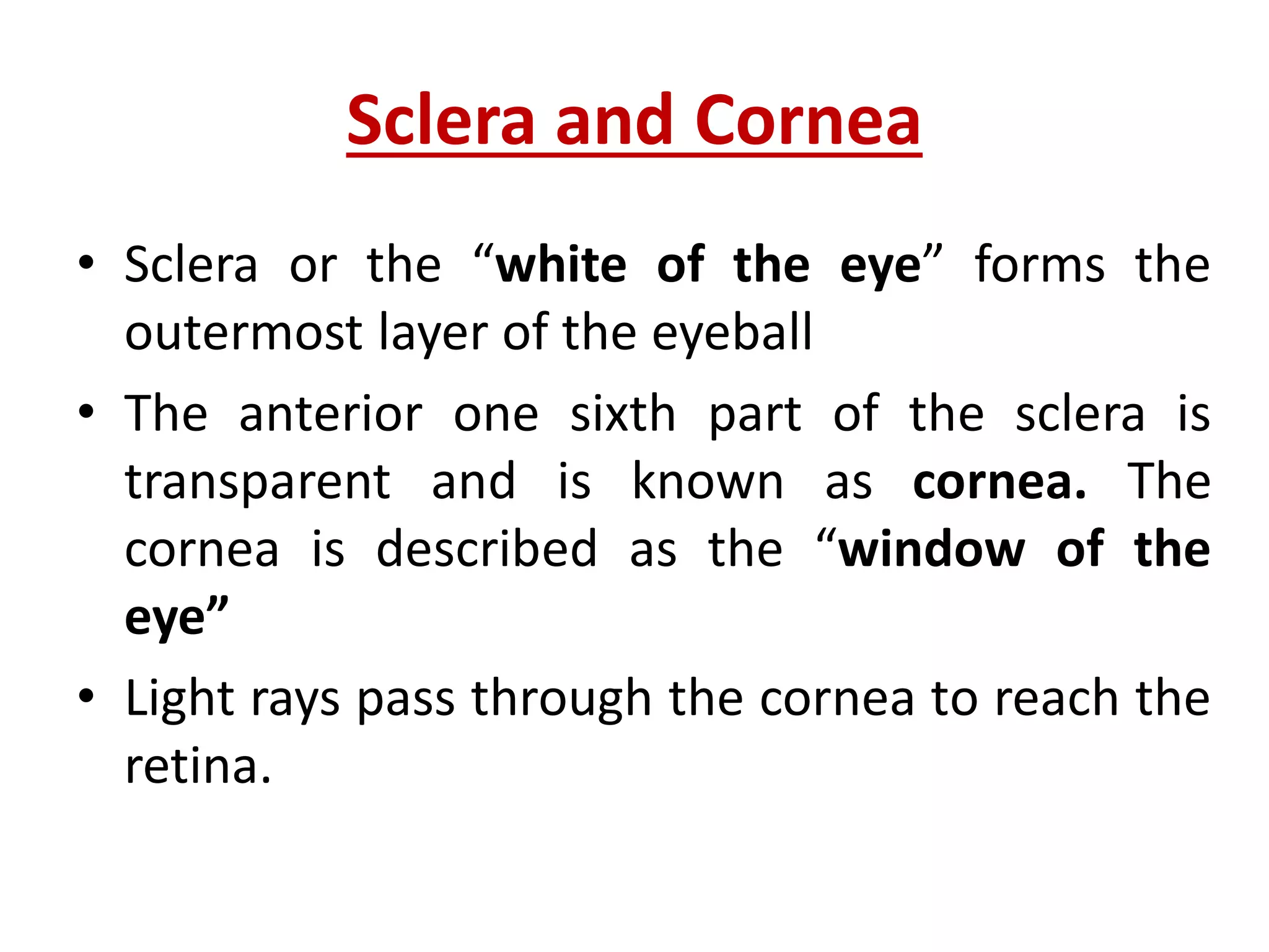 ANATOMY OF EYE n.pdf