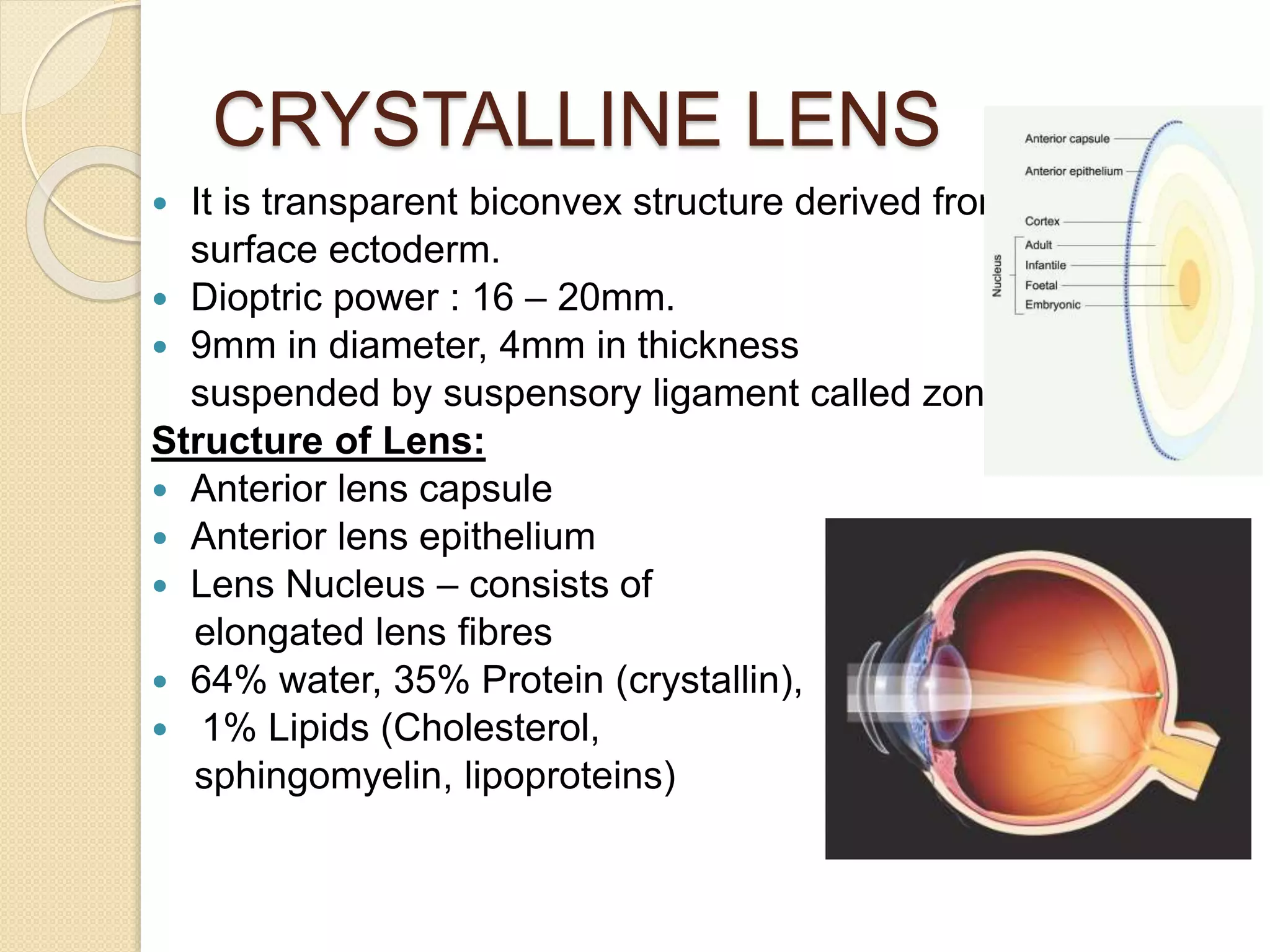 Anatomy of eye, oculocardiac reflex | PPTX
