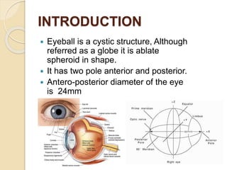 Anatomy of eye, oculocardiac reflex | PPTX