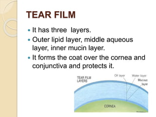 Anatomy of eye, oculocardiac reflex | PPTX