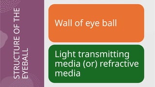 ANATOMY OF EYES REVIEW THIS PROPERLY.pptx