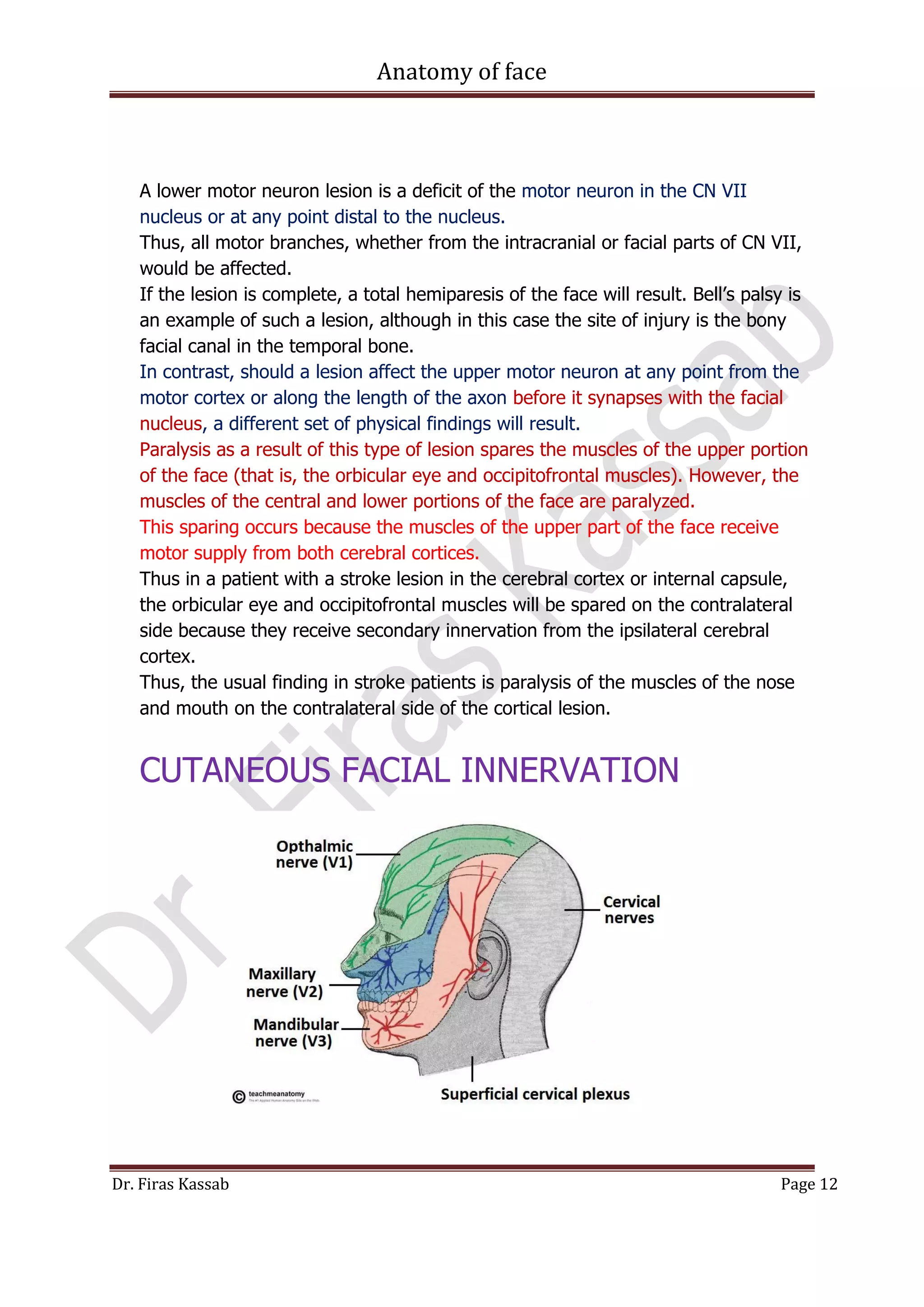 Anatomy of face | PDF