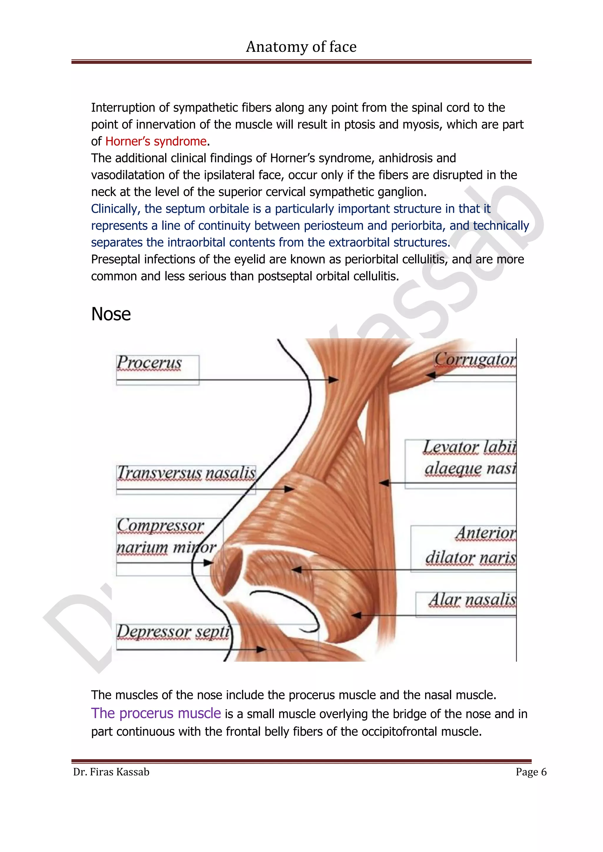 Anatomy of face | PDF