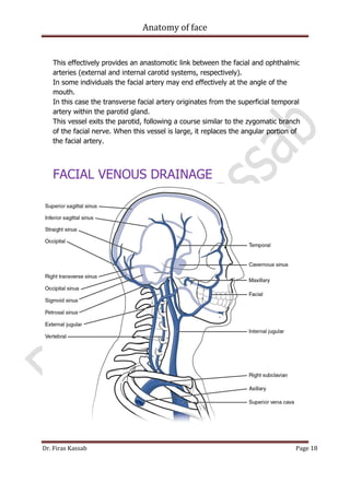 Anatomy of face | PDF