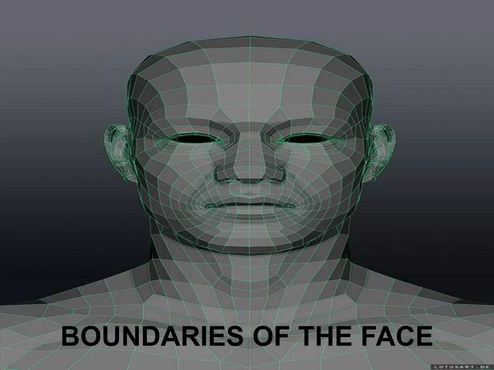 Anatomy of face | PPTX