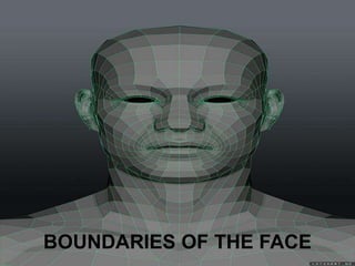 Anatomy of face | PPTX
