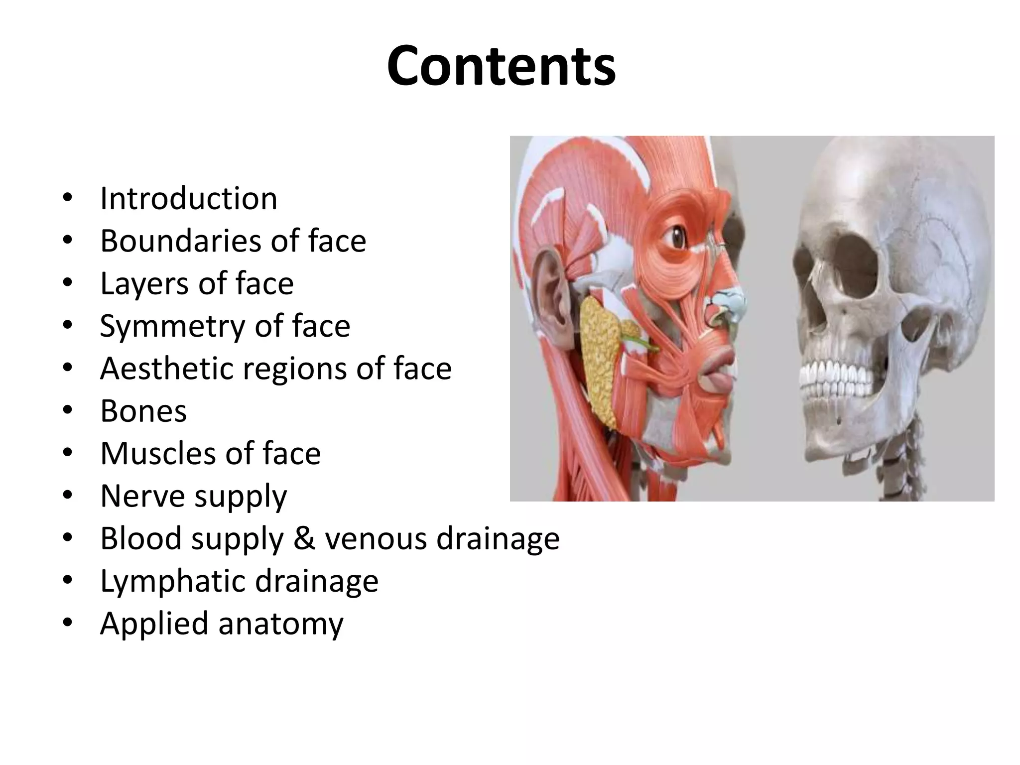 Anatomy of face | PPTX | Skin and Dermatology | Diseases and Conditions