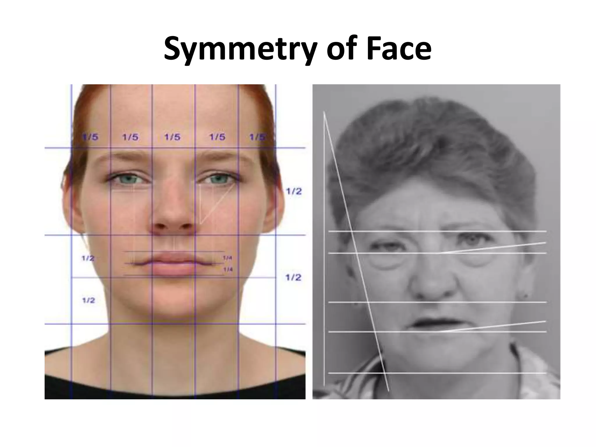Anatomy of face | PPTX