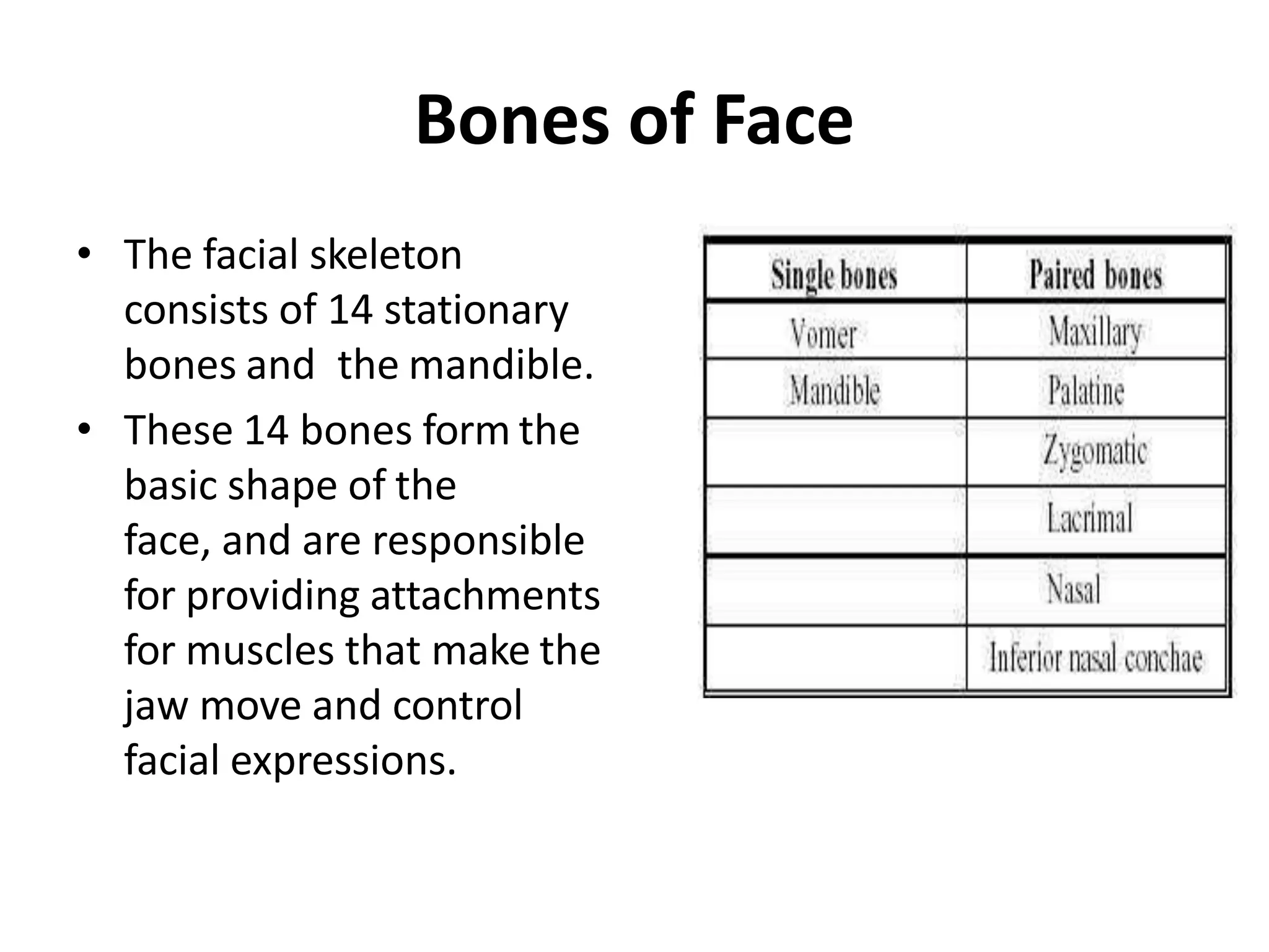 Anatomy of face | PPTX