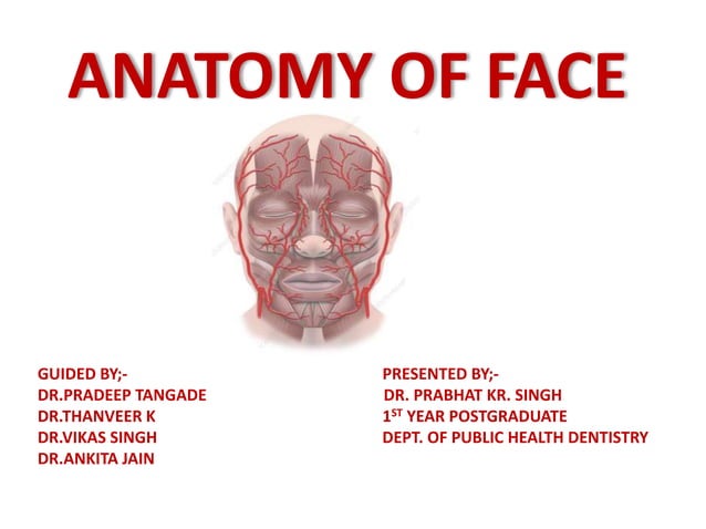 ANATOMY OF FACE.pptx | Ear, Nose and Throat Conditions | Diseases and ...