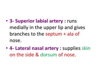 ANATOMY OF FACE.pptx