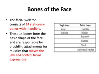 ANATOMY OF FACE.pptx