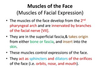 ANATOMY OF FACE.pptx
