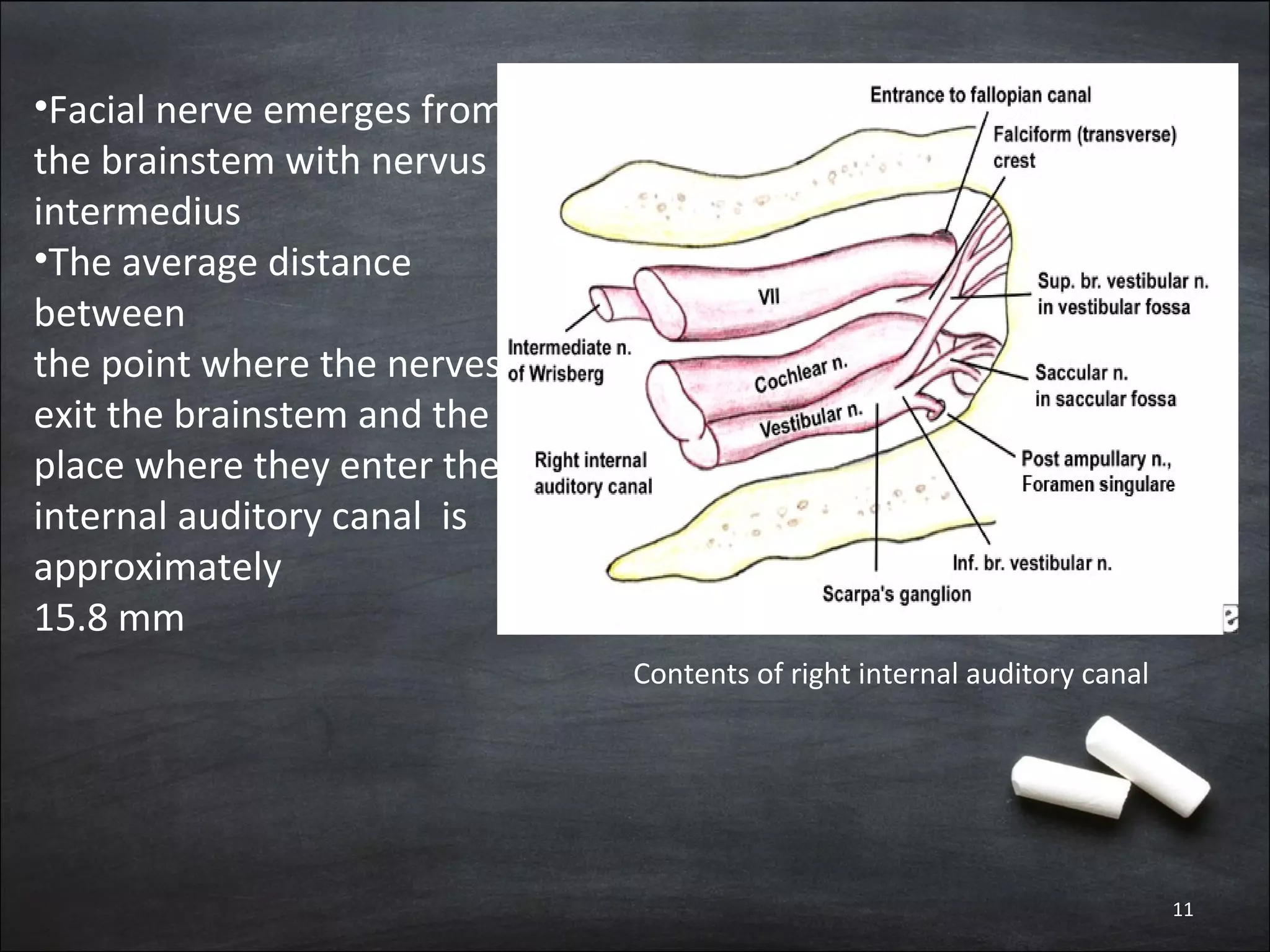 Anatomy of facial nerve | PPT