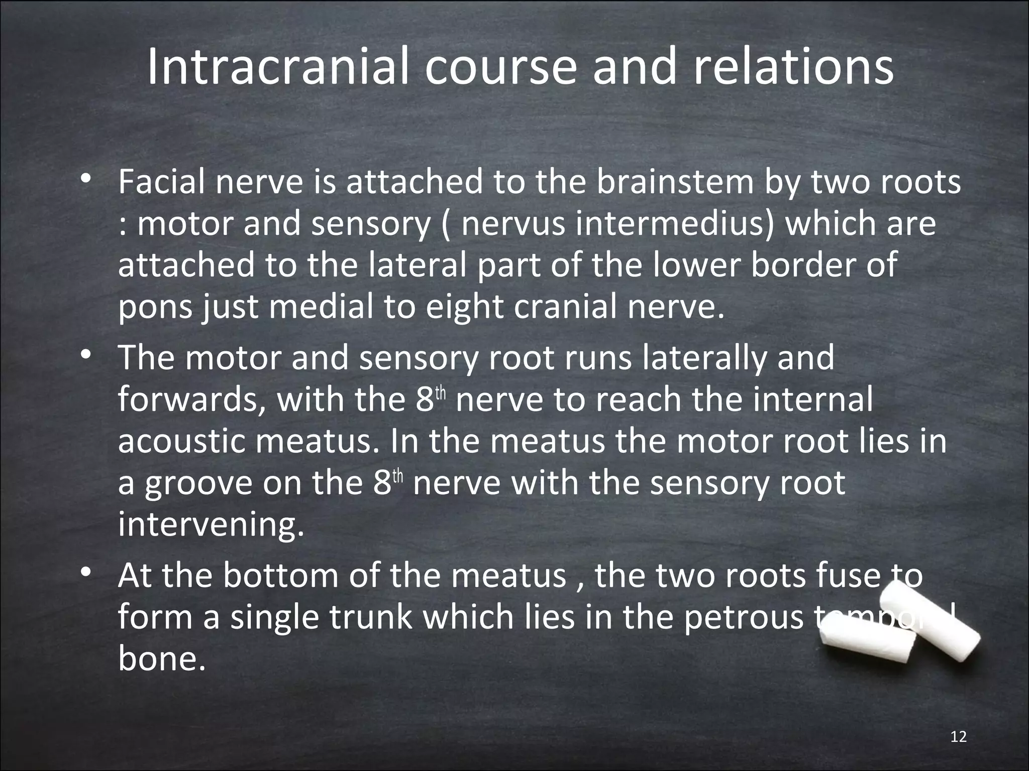 Anatomy of facial nerve | PPT