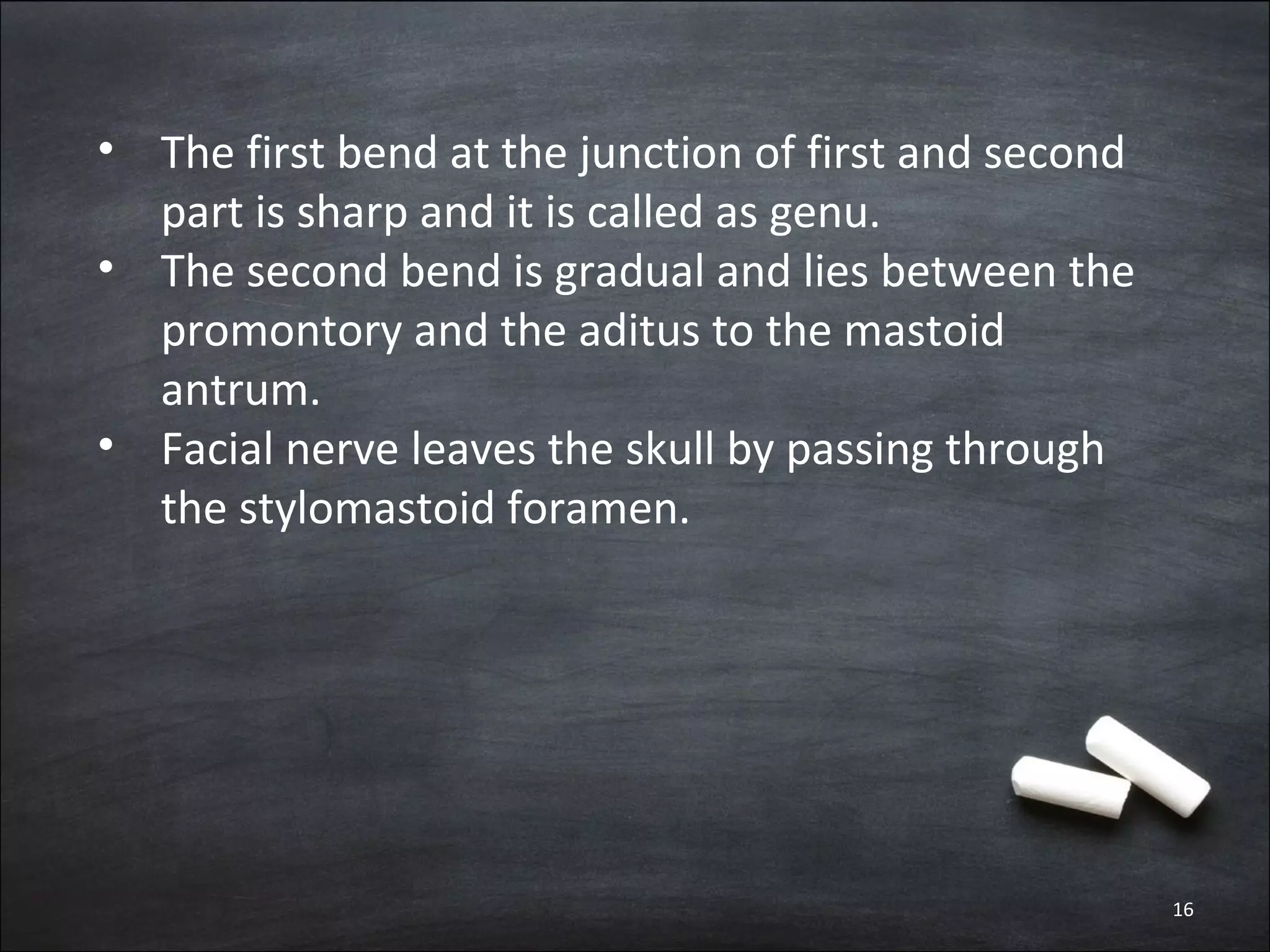 Anatomy of facial nerve | PPT